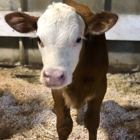 Washburn County Fair Board