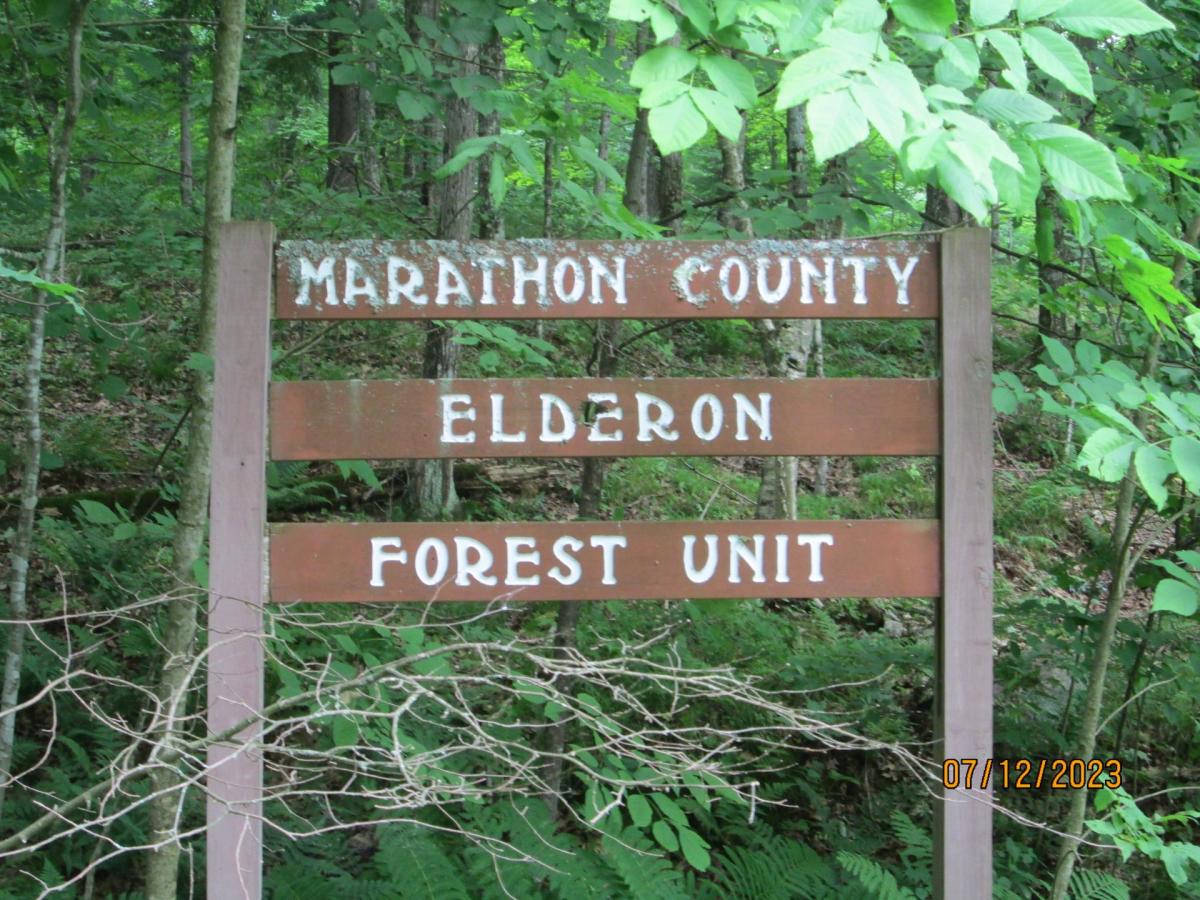 Elderon Forest | Eland, WI