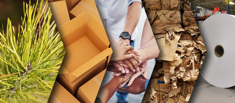 Green Bay Packaging | Wausau, WI