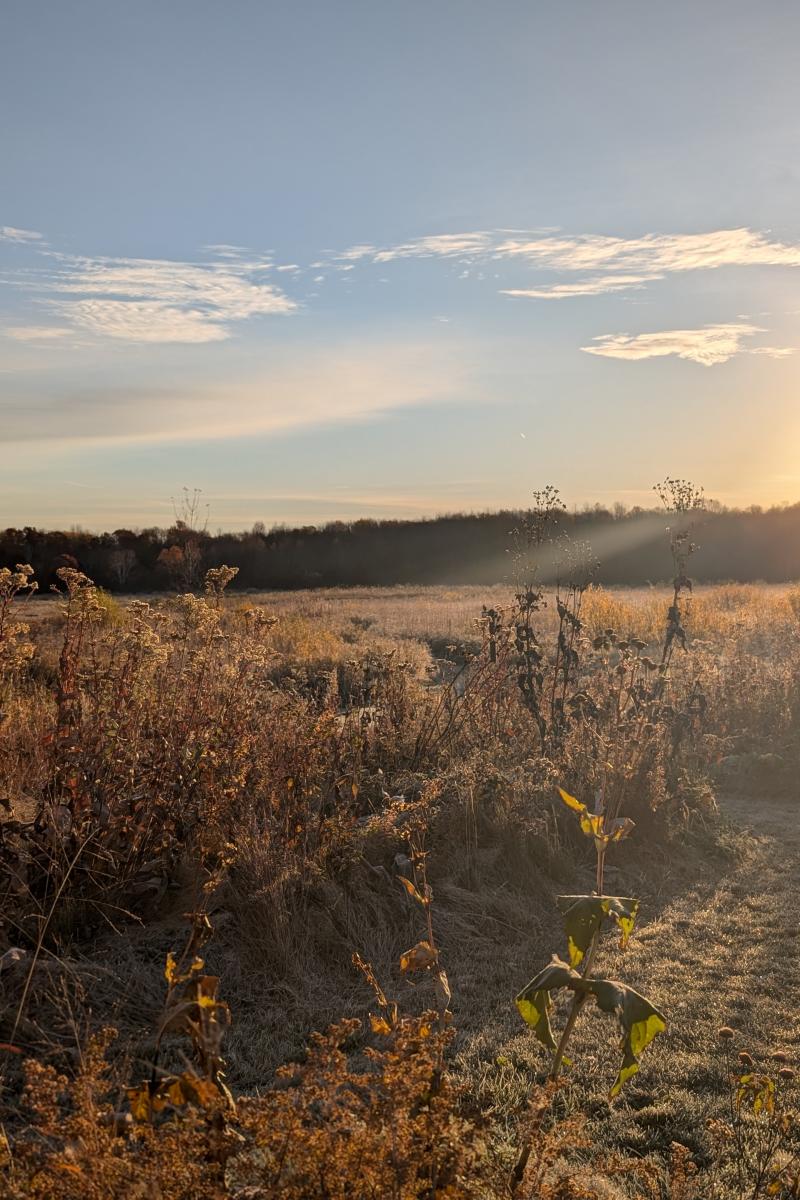 George W. Mead Wildlife Area | Milladore, WI