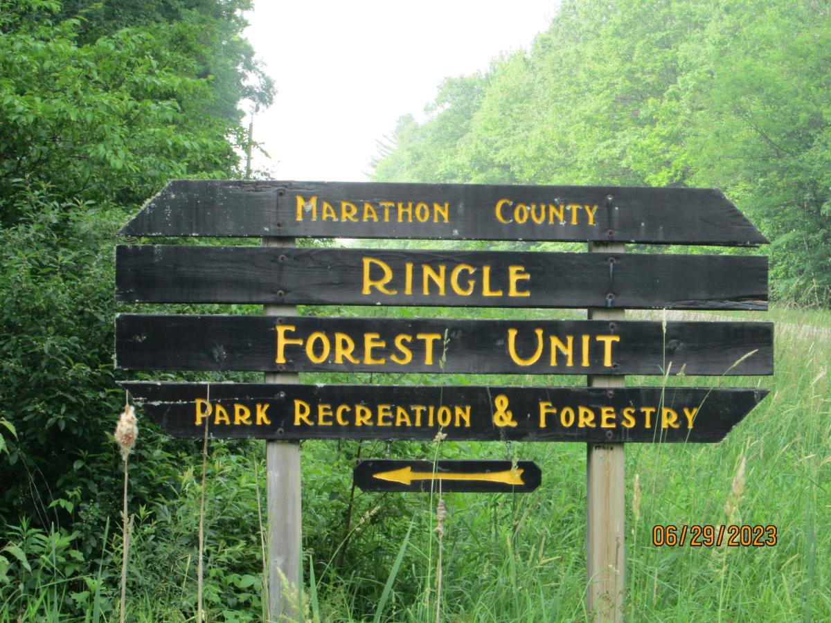 Ringle Marsh Forest Unit | Hatley, WI