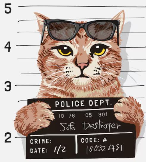 Sip and Paint Your Pet's Mug Shot with Miranda.r.t