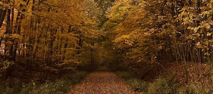 Sippo Valley Rail-Trail