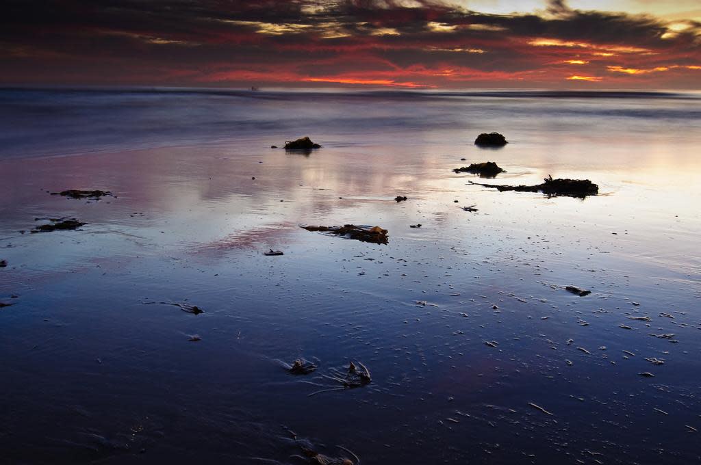 Cardiff State Beach