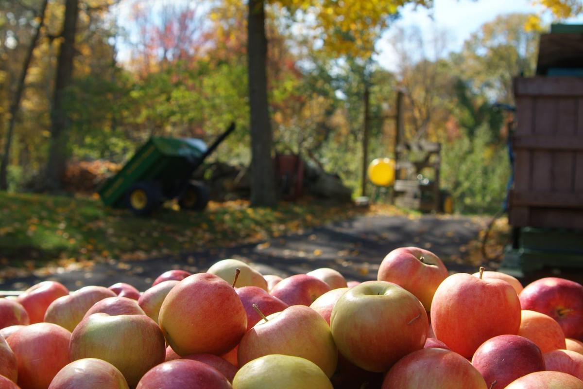 Thompson's Cider Mill