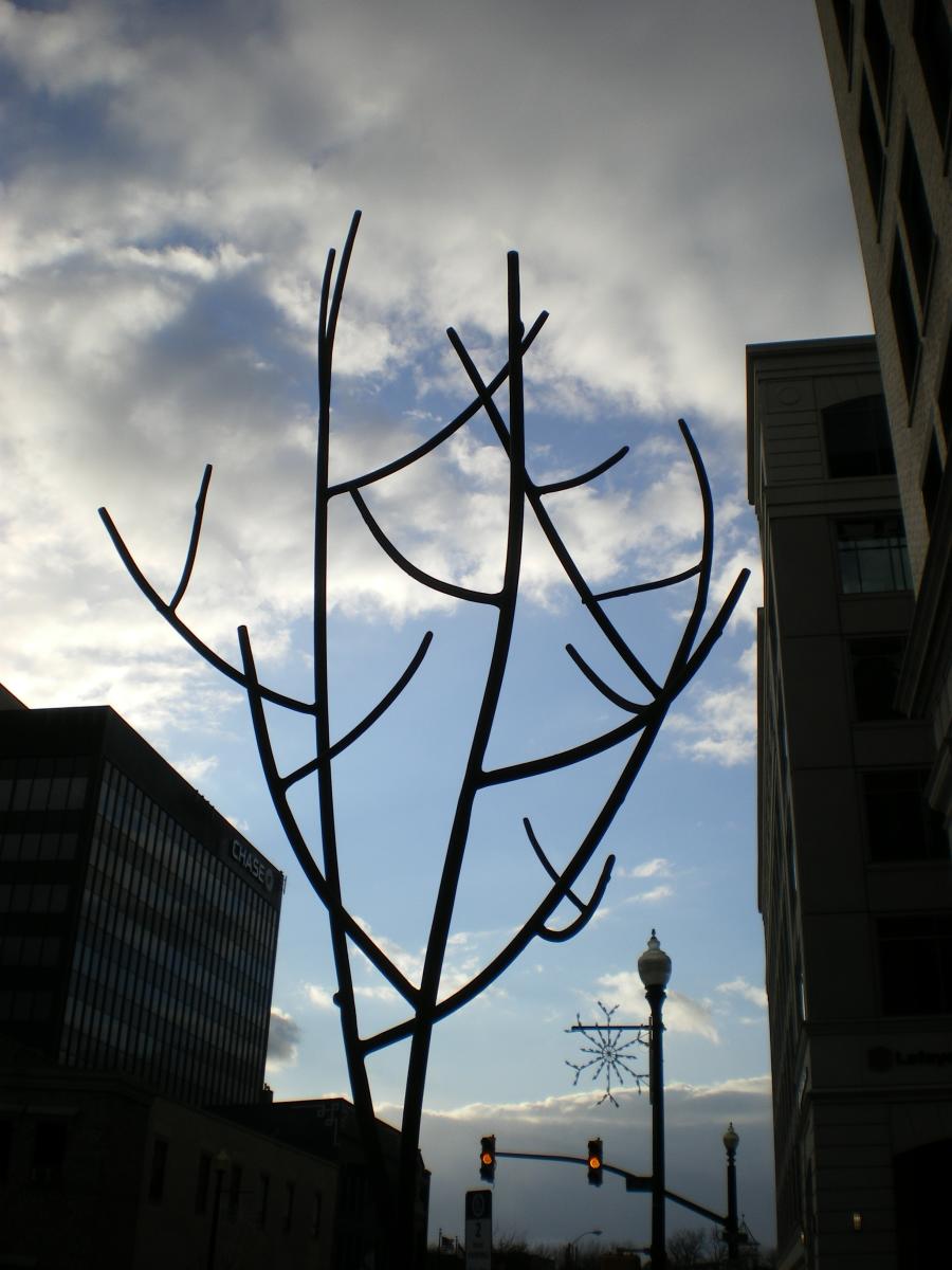 Anatomy Vessel (Sapling)