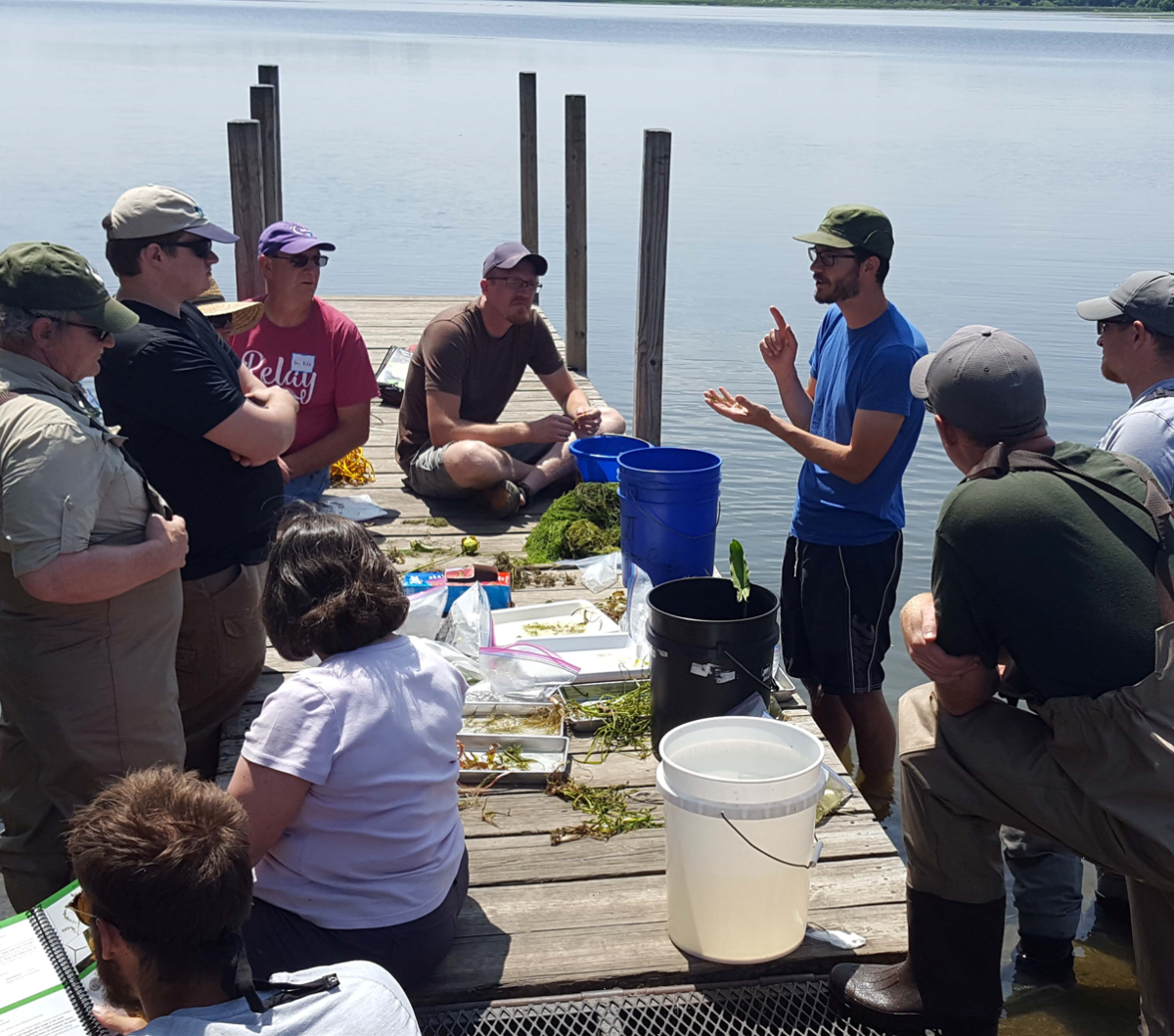 Aquatic Plant ID Workshop