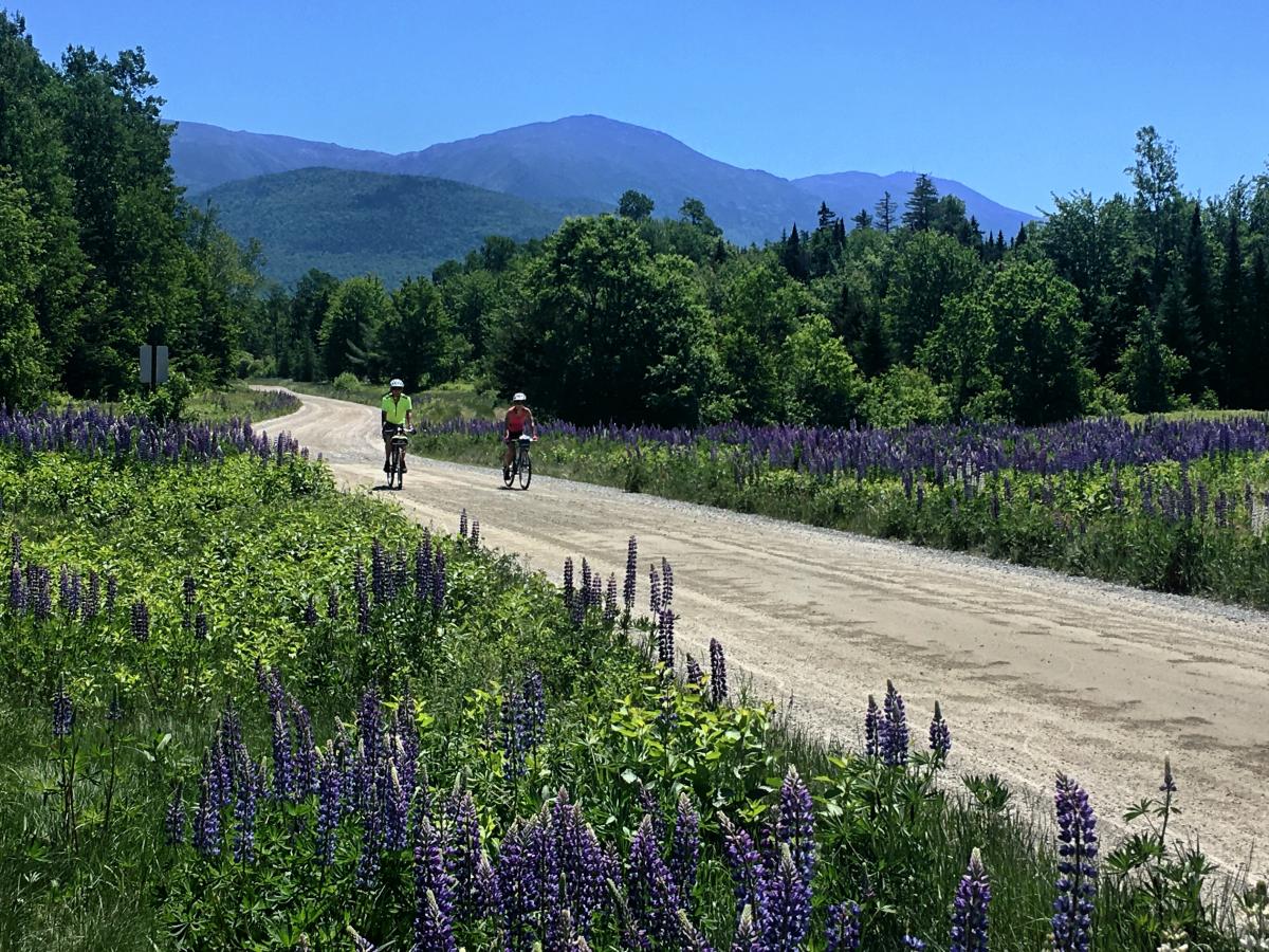 Cross New Hampshire Adventure Trail | Various Towns, NH