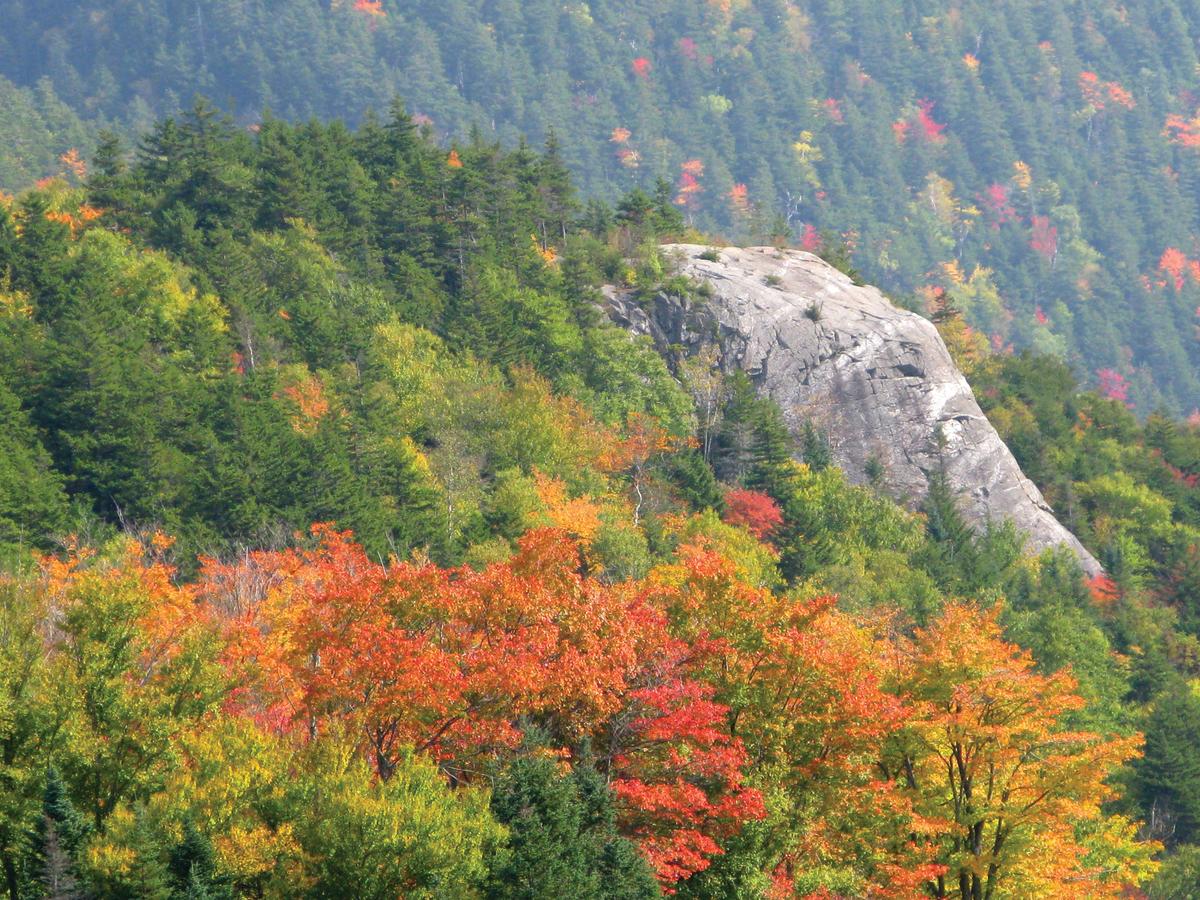 Elephant Head | Carroll, NH