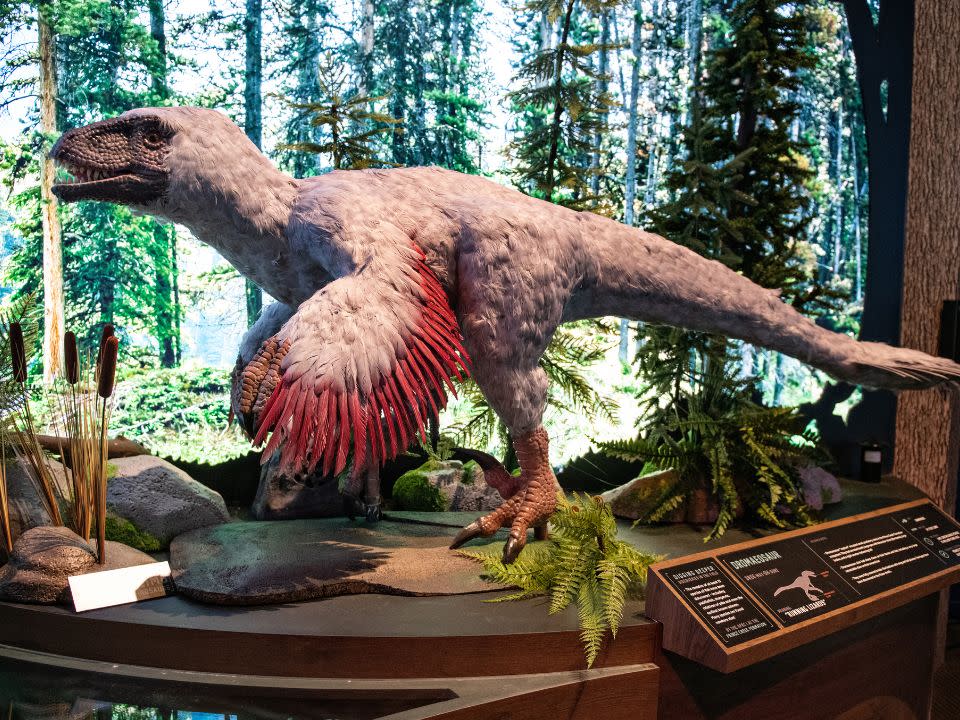 Ice Dinosaurs: The Lost World of the Alaskan Arctic - Wichita KS, 67203