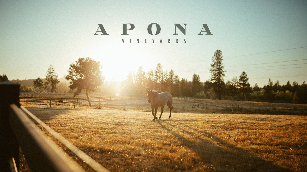 Apona Vineyards