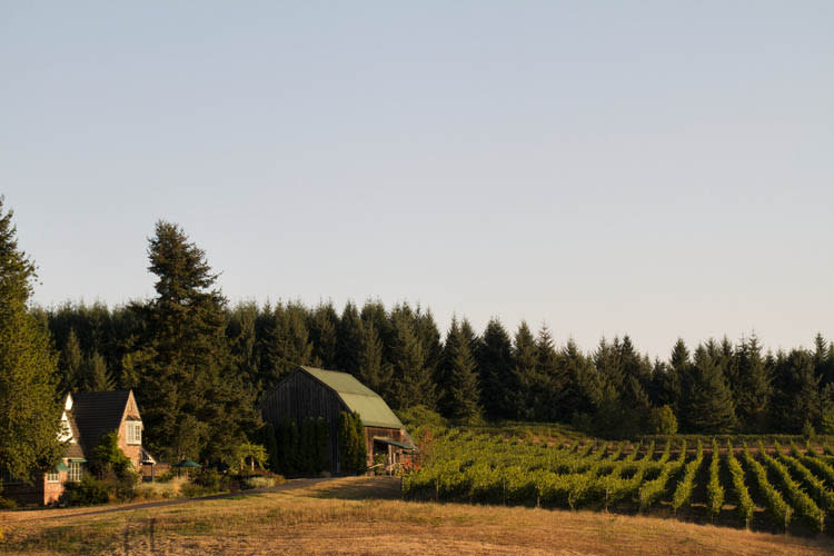 Brick House Wine Co.