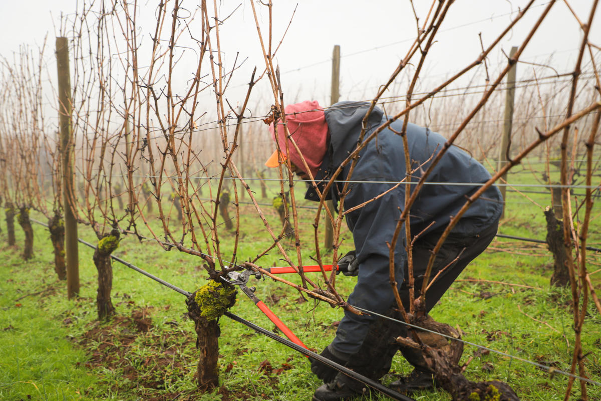 Chehalem Workshop: Wreathmaking Class