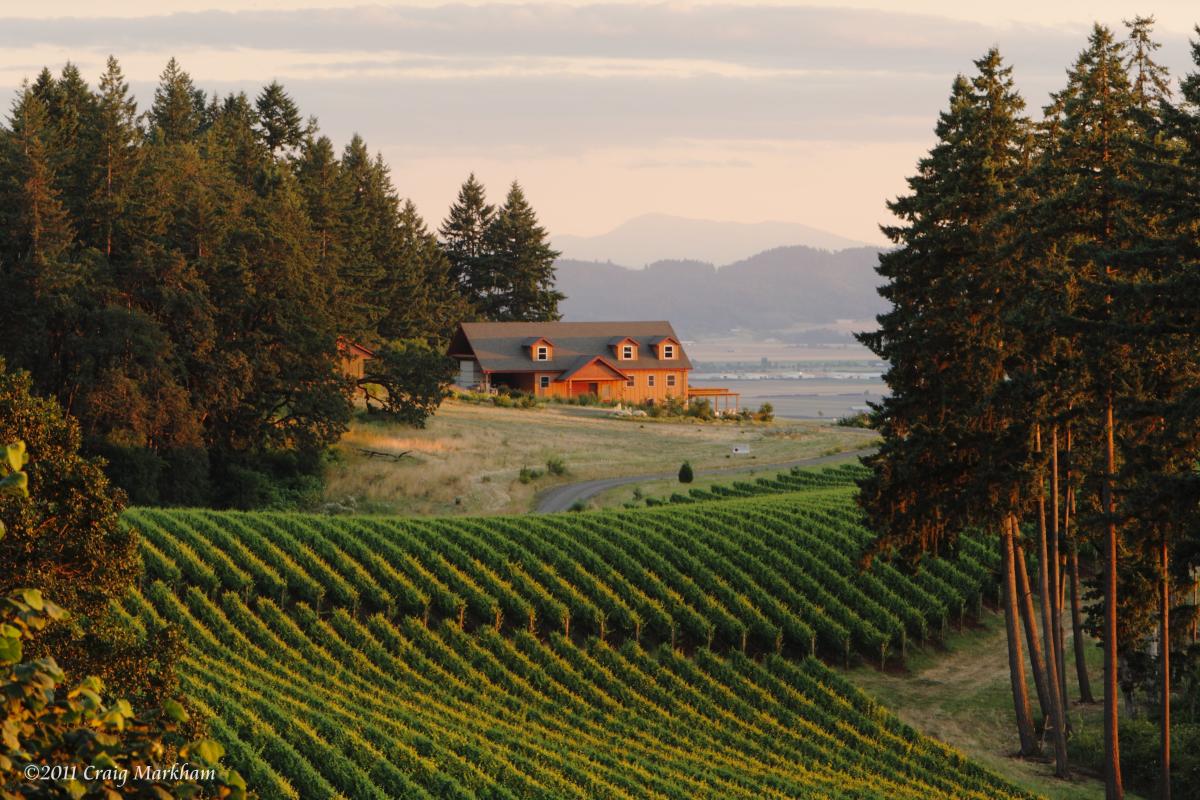 Cellar Door Fall Pickup Party