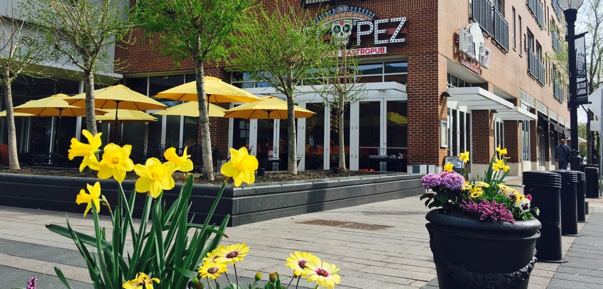 Del Pez Gastropub - Wilmington Riverfront