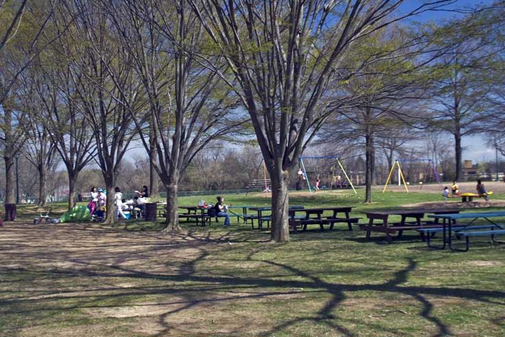 Delcastle Recreational Area