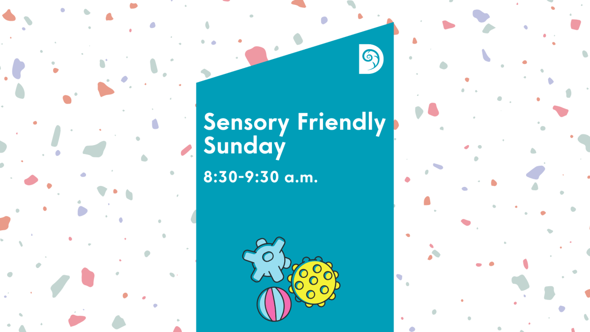 Sensory Friendly Sunday