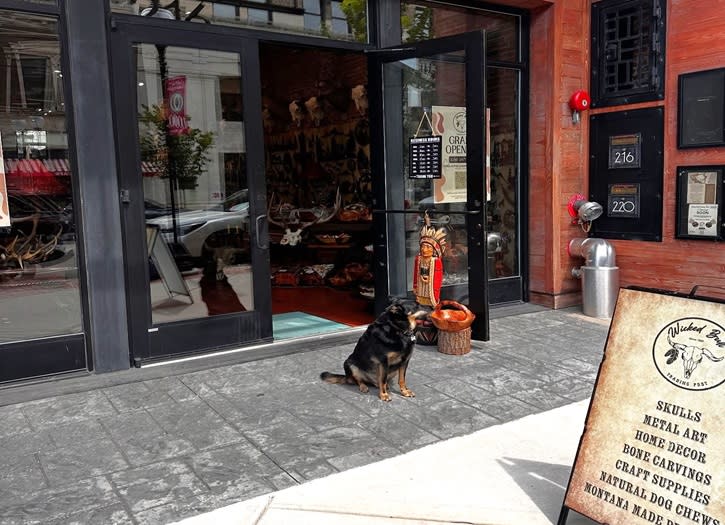 Wicked Bull Trading Post | Wilmington, NC 28401