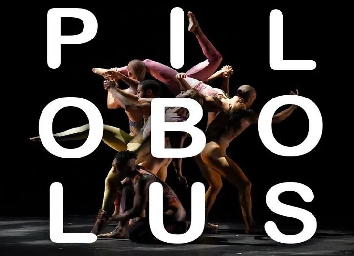 Pilobolus Dance Company | Wilmington, NC 28401