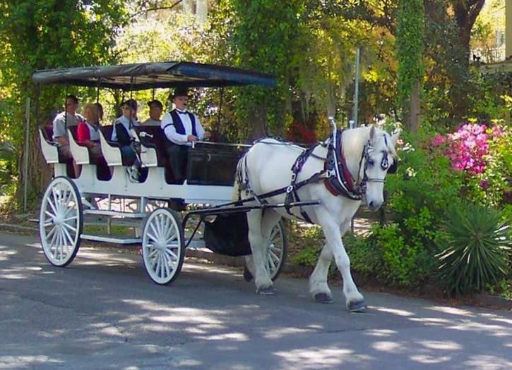 Springbrook Farms Inc. | Wilmington, NC 28401