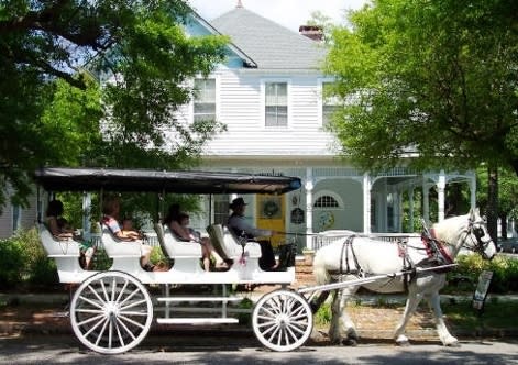 Springbrook Farms Inc. | Wilmington, NC 28401