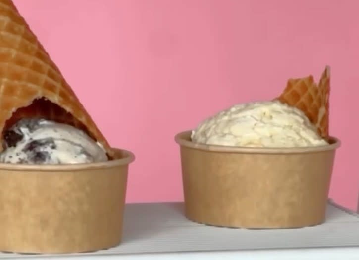 Wandering Cone Creamery | Wilmington, NC 28401