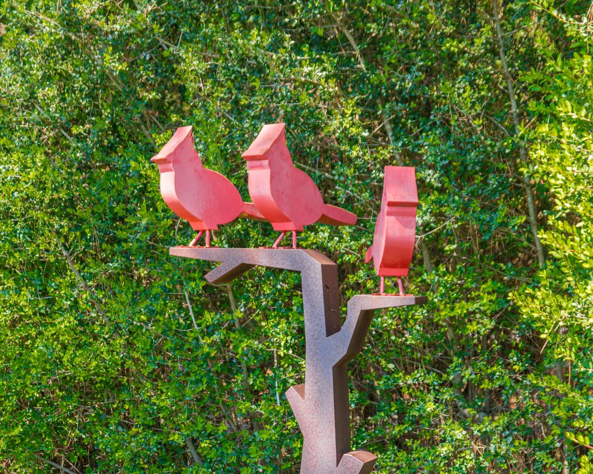 3 Cardinals in a Tree