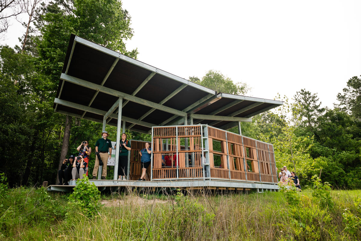 The Lookout Bird Blind