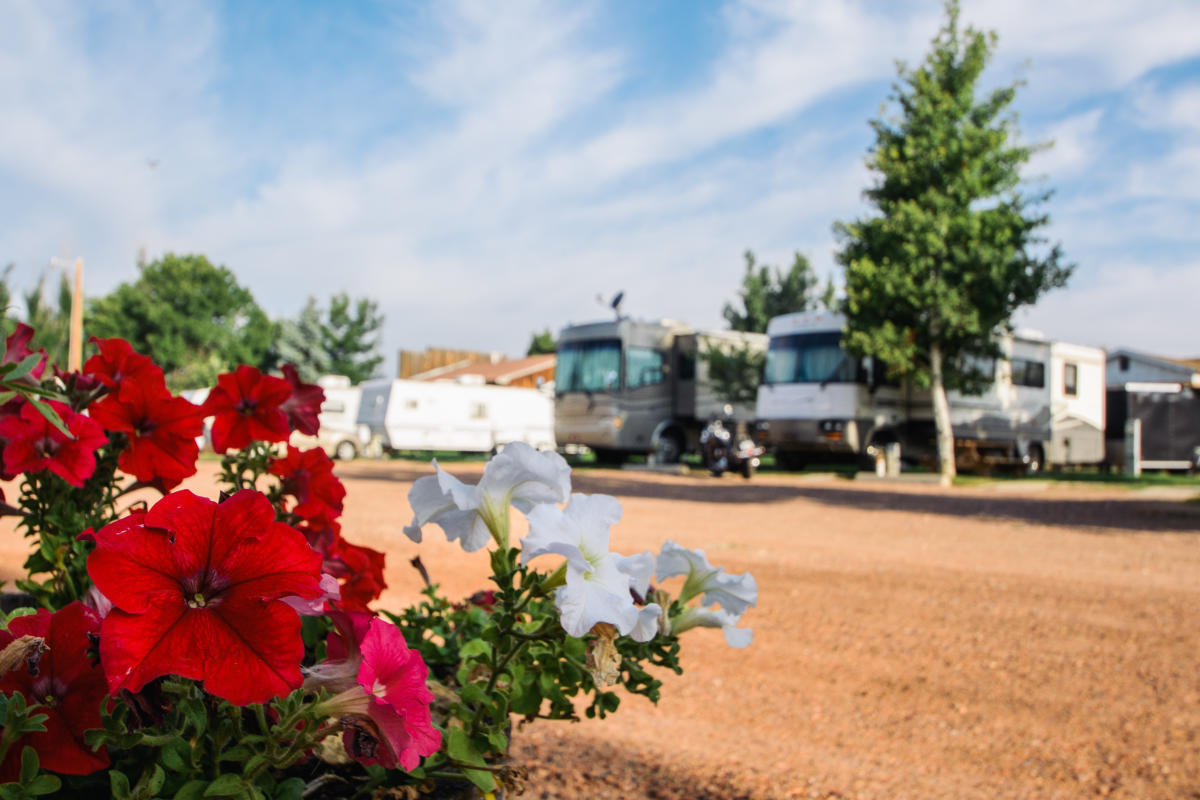 Lazy R Campground and Cabins