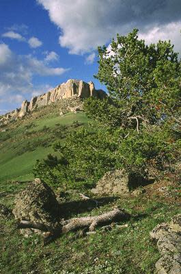 Shell Creek Campground - Bighorn National Forest
