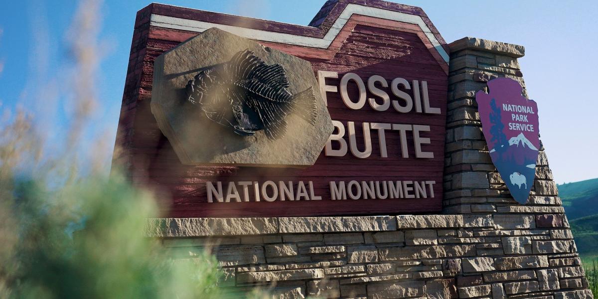 Fossil Butte National Monument