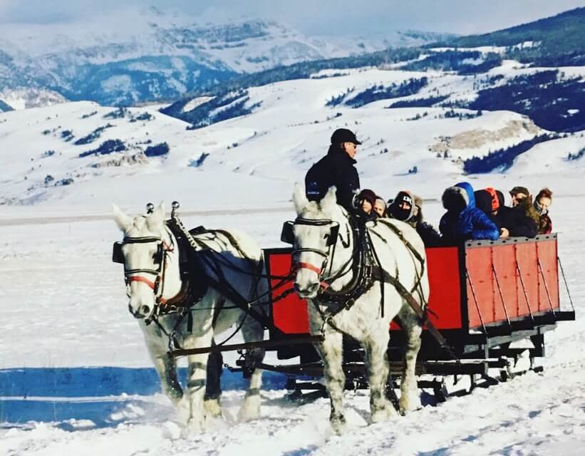 National Elk Refuge Sleigh Rides