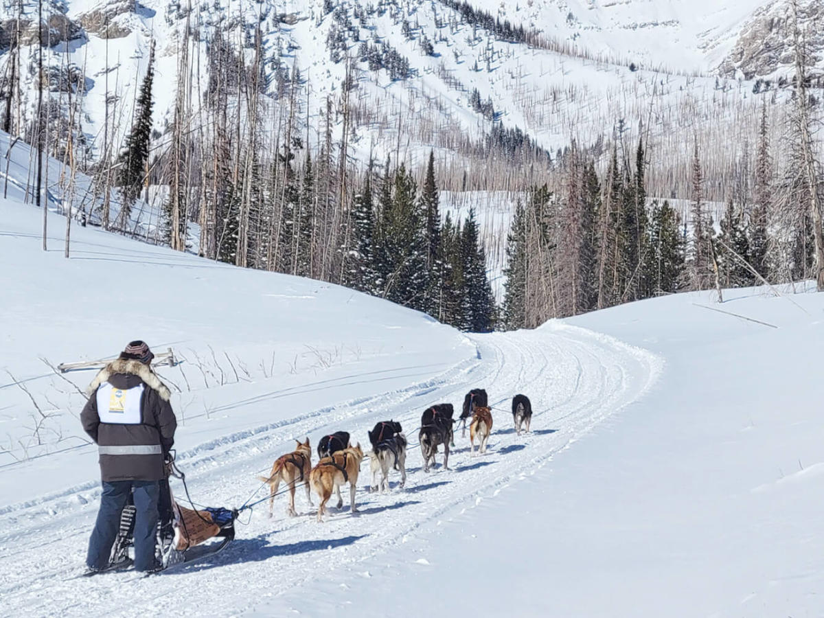 2024 Pedigree Stage Stop Sled Dog Race - Stage 4