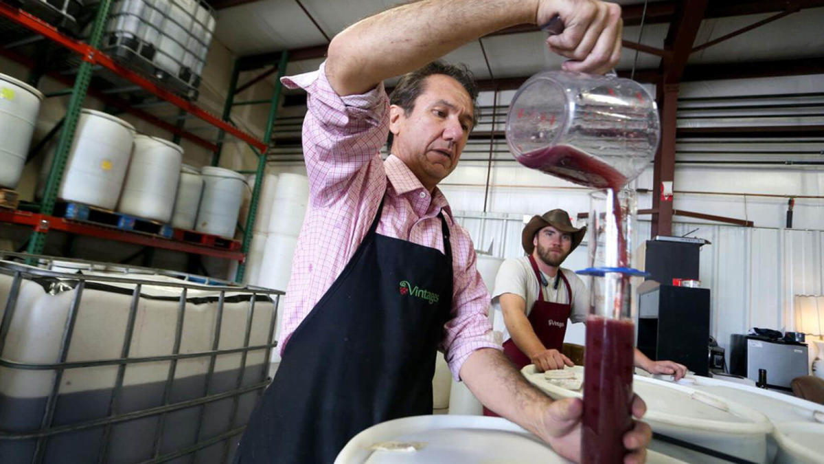 Vintages Handcrafted Wine