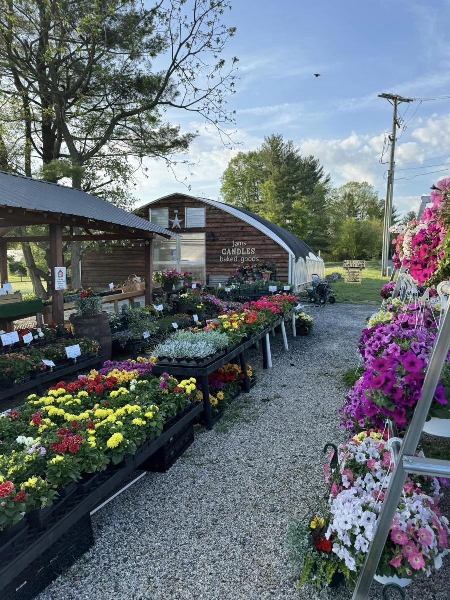White Clover Family Farm