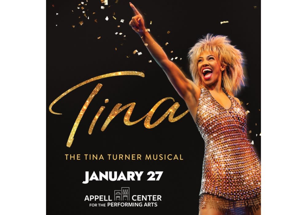 TINA - The Tina Turner Musical