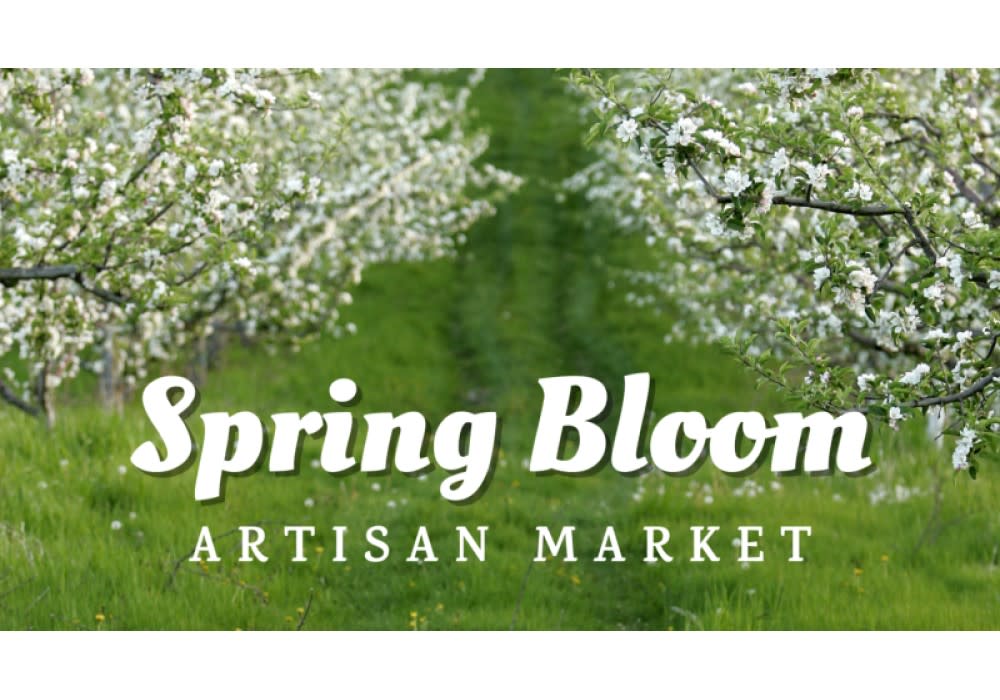 Spring Bloom at Flinchbaugh's Orchard