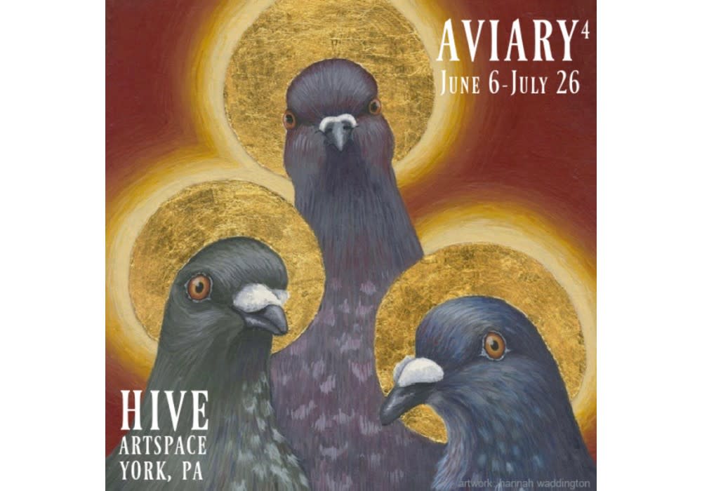 Aviary 4: The June-July Exhibit at HIVE artspace