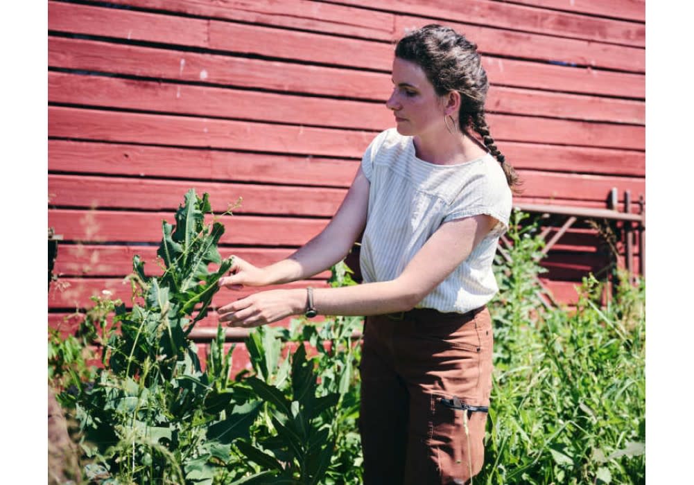 Women’s Foraging
