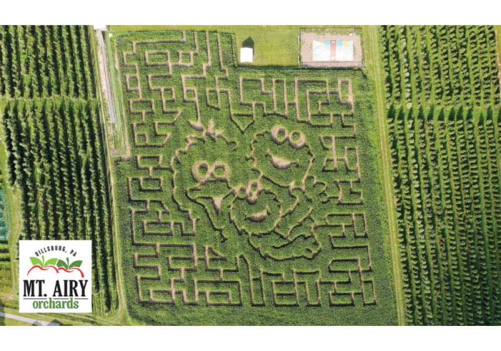 Sesame Street Corn Maze at Mt. Airy Orchards