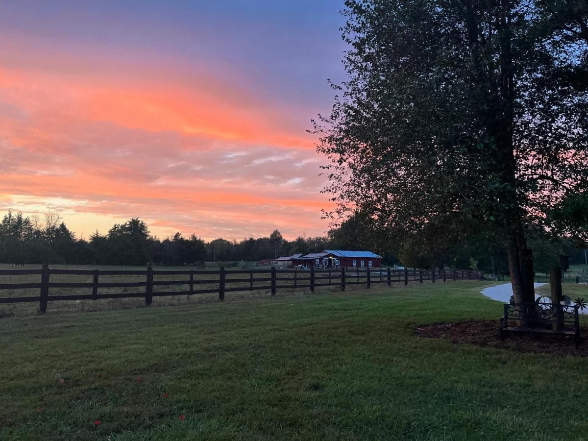 New Moon Flower Farm | York, SC