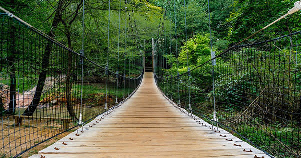 Anne Springs Close Greenway