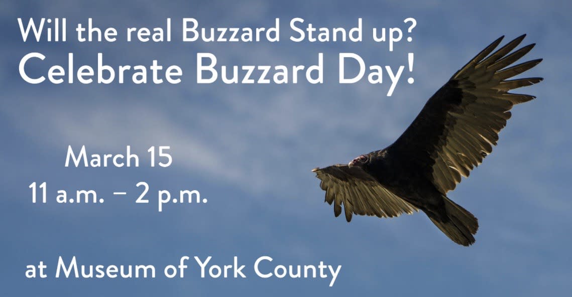 Celebrate Buzzard Day!