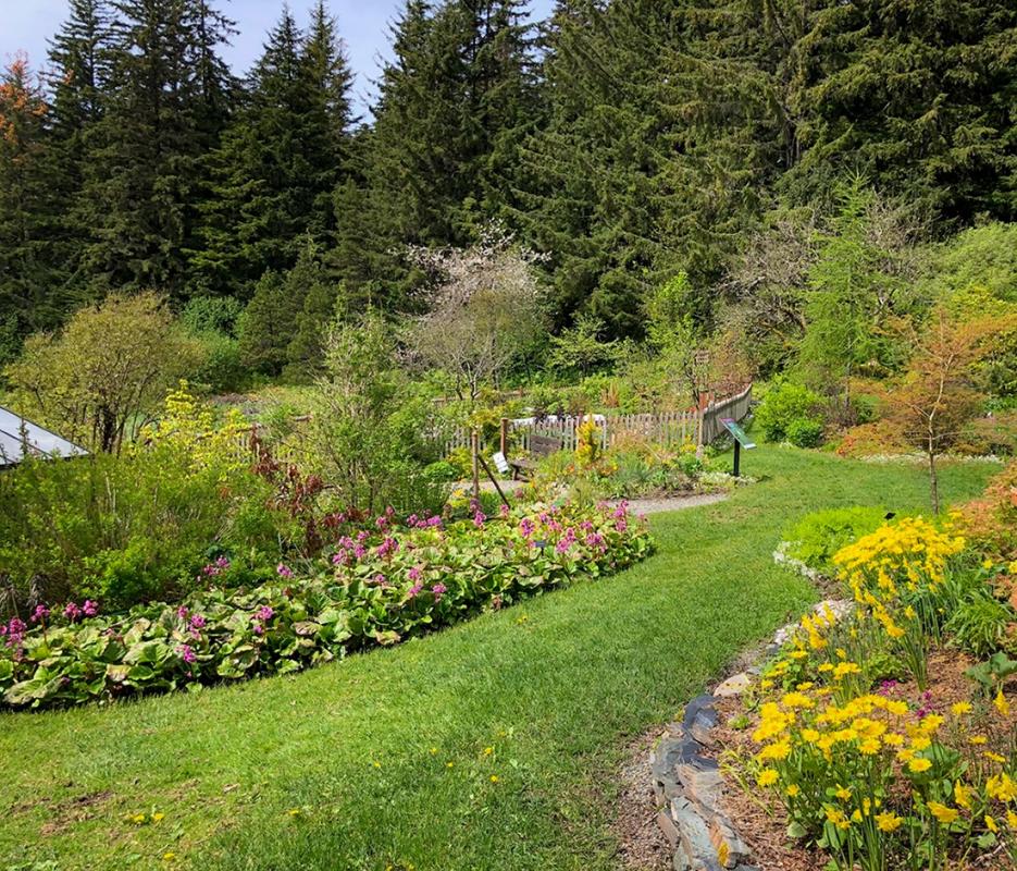 Jensen-Olson Arboretum