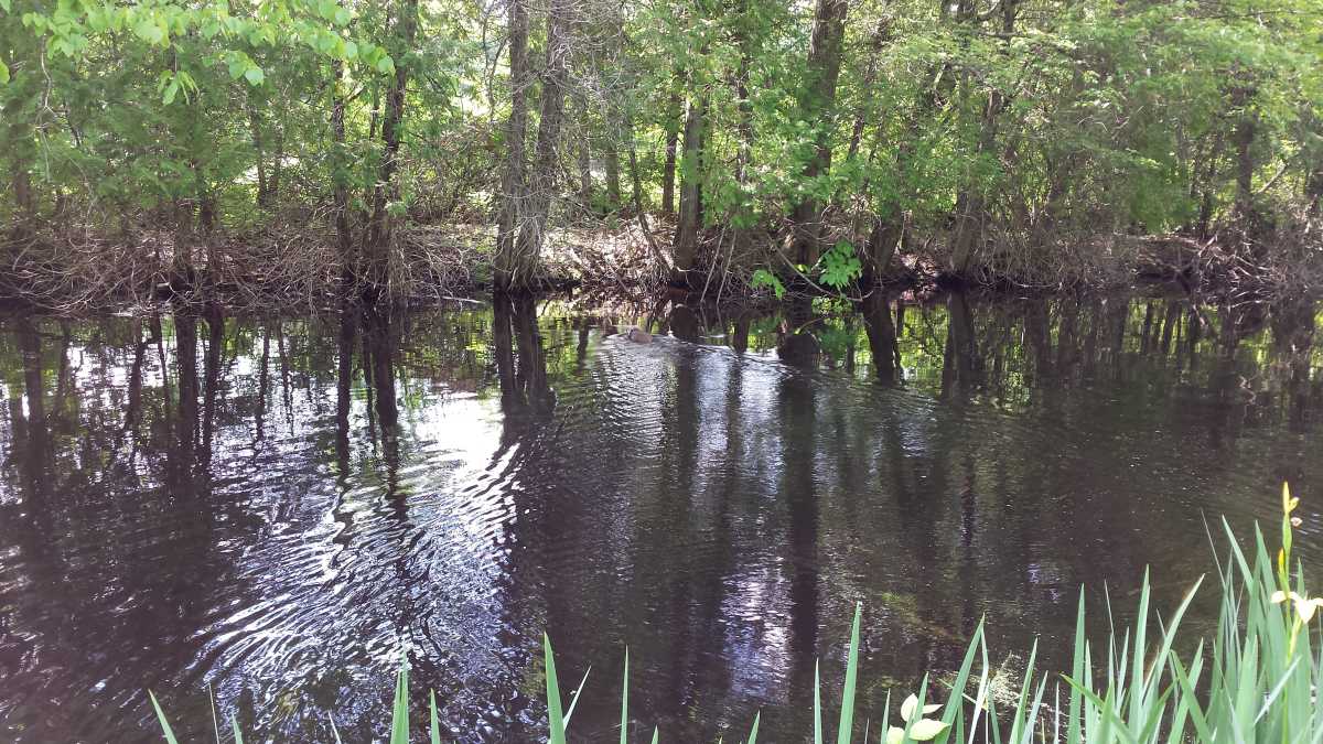 Chenango Canal Association