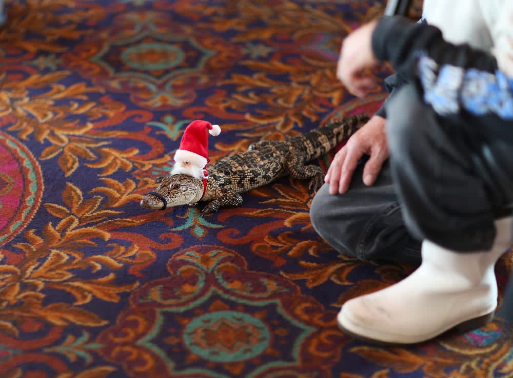 Cajun Holiday Tea with Papa Noel