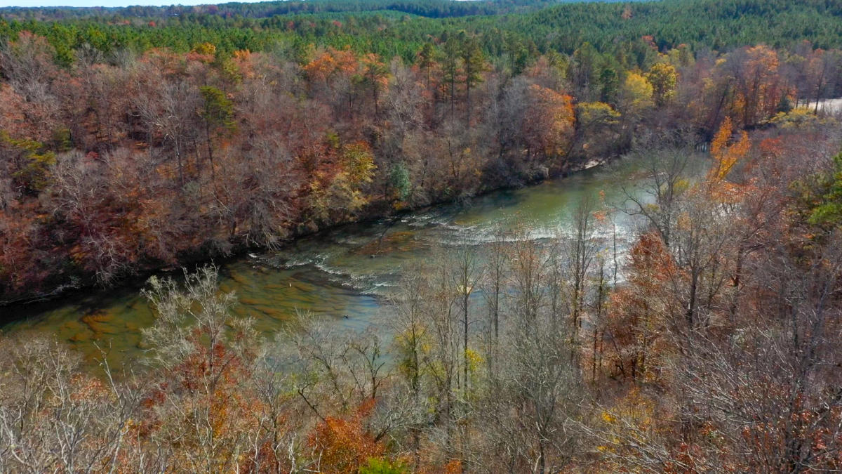 Cahaba River Park - Discover Shelby