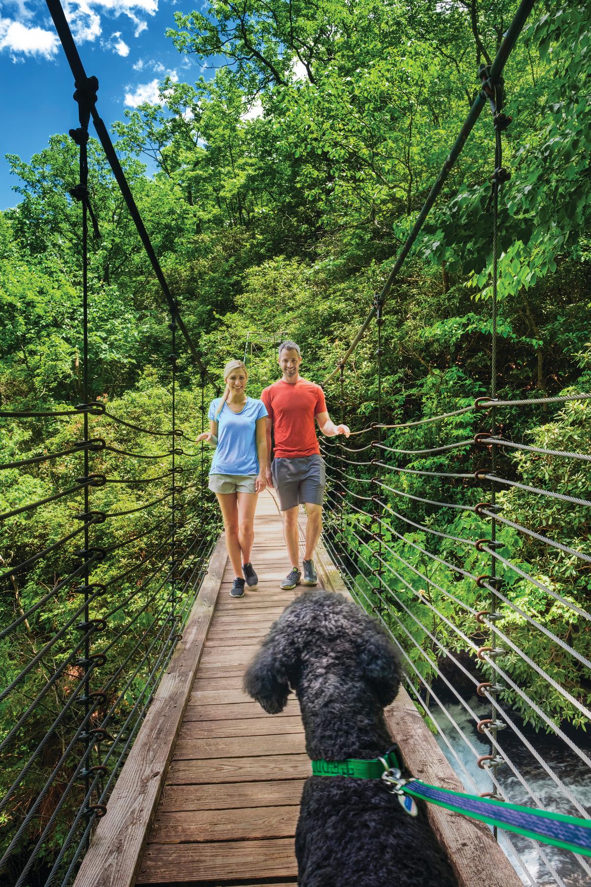The Ultimate Guide to the Outdoors in Greenville | Greenville, SC