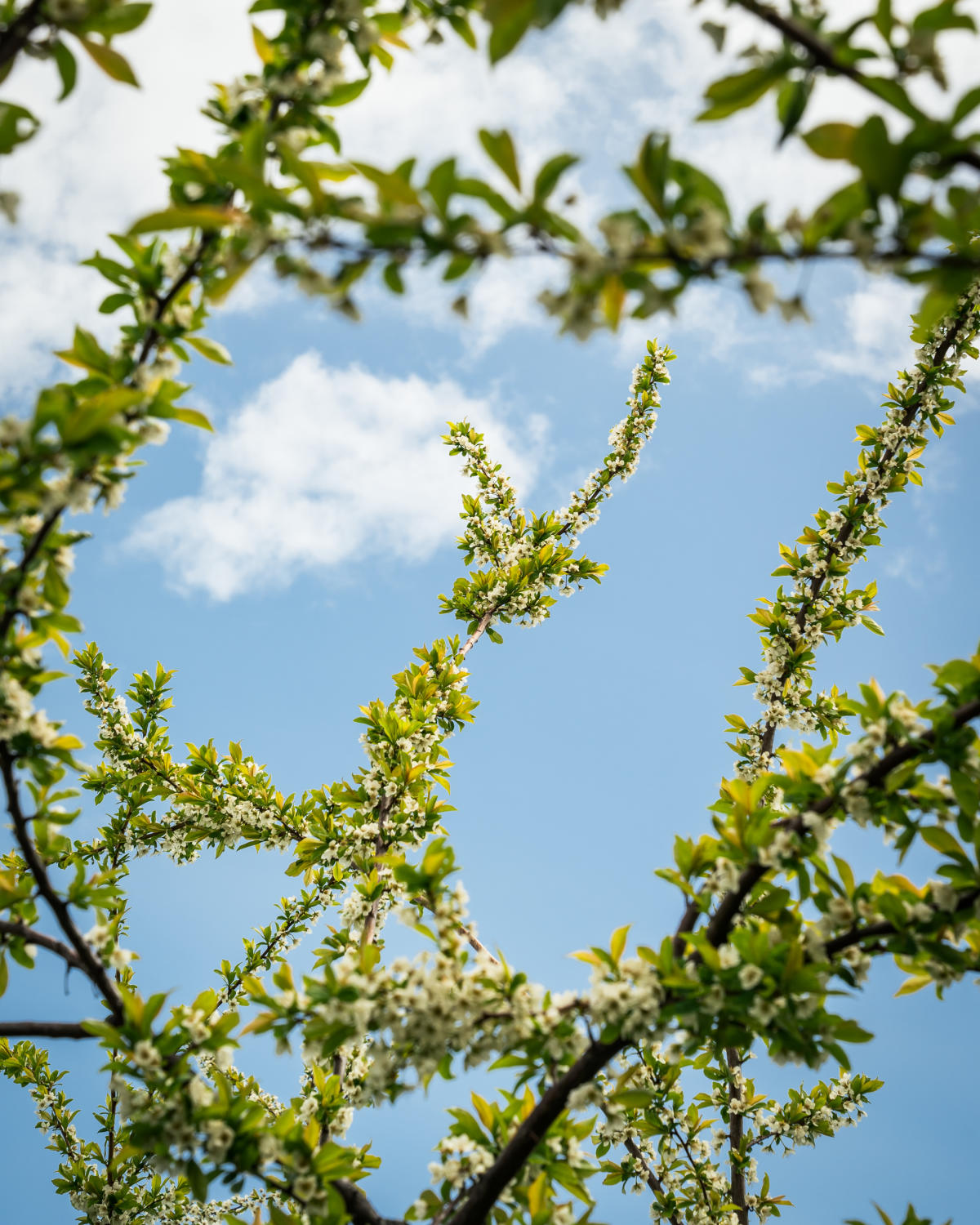 See What Makes a Kelowna Spring with this Five Day Itinerary