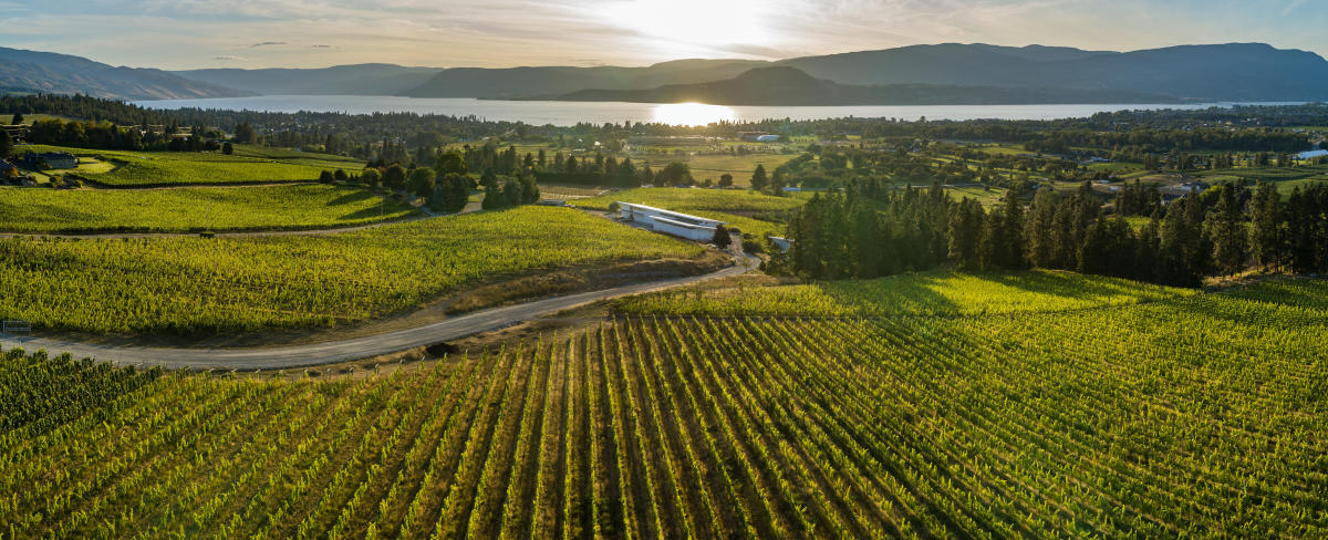 Sip, Relax, Repeat: 4 Must-Visit Winery Patios in Kelowna